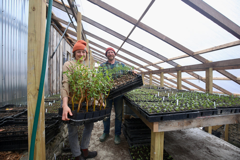 UNDERGROUND GREENHOUSE GUIDE – Under the Tree Farm