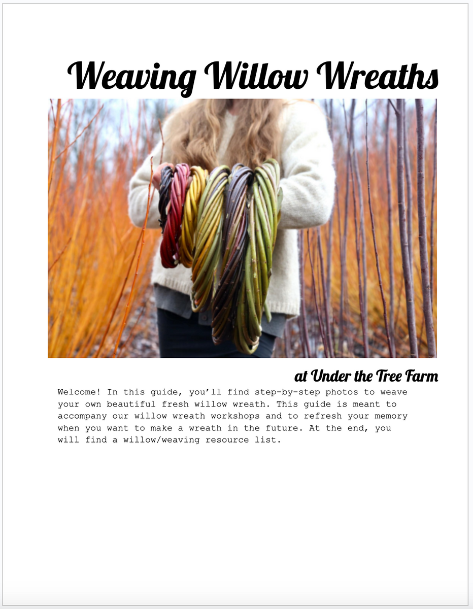 WEAVING WILLOW WREATHS – Under the Tree Farm