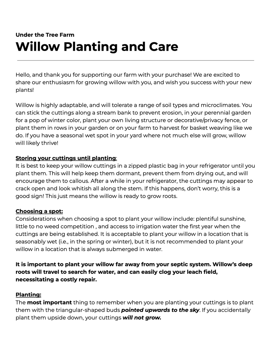 WILLOW PLANTING GUIDE – Under the Tree Farm